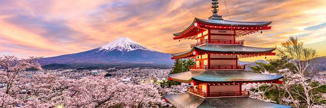 Northern Asia Cruises 2025-2028 | Cruises from Northern Asia $117/day