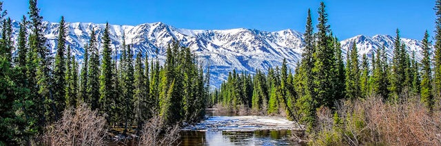 Cruises visiting Wrangell 2025-2026 | Wrangell Cruises visiting $205/day